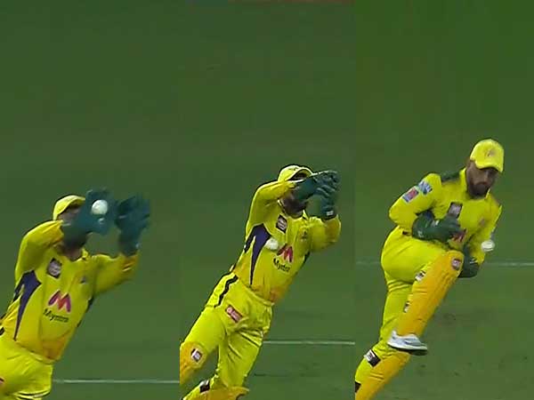 WATCH: MS Dhoni drops an easy catch behind the stumps in IPL 2021 Final ...