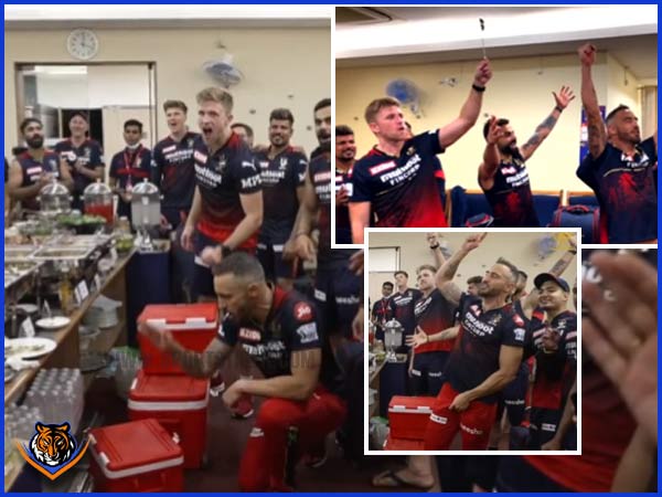 "The pants are red. The shirt is blue. The golden lion is shining ...