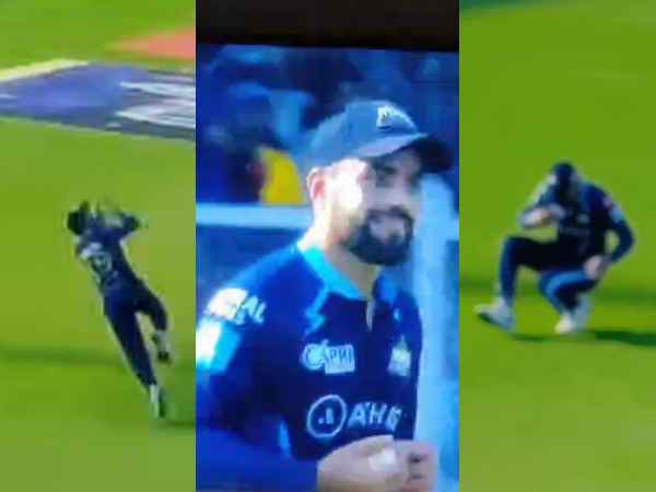 WATCH: Rashid Khan takes spectacular catch at cover to dismiss Glenn ...