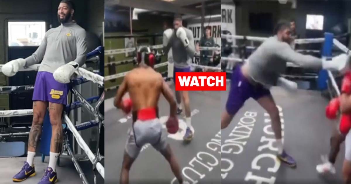 WATCH: LA Lakers star Anthony Davis shows boxing skills against Jalen ...