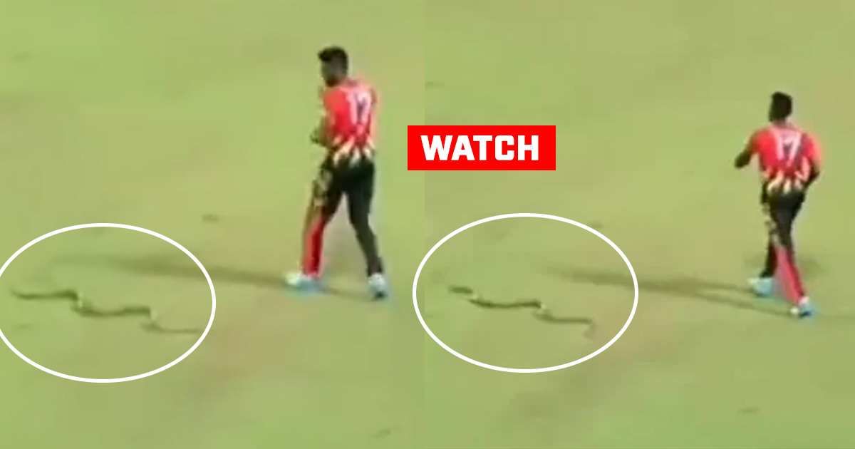 Isuru Udana luckily escapes from snake in LPL 2023 match