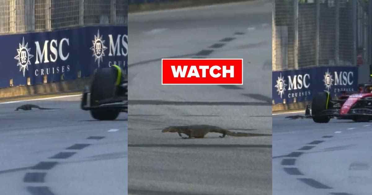 WATCH: Lizards invade Marina Bay Street Circuit during FP1 session of ...
