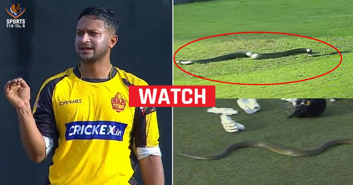 Snake In LPL Match | Snake Invaded Lanka premier league match | Snake Stop LPL Match